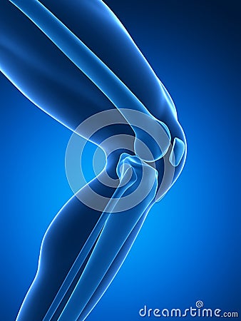 Human Knee Joint Stock Illustration | CartoonDealer.com #30722506