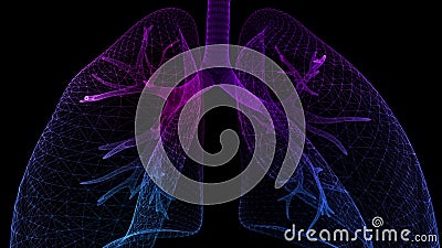 Human Lungs. Blue Light Dot and Lines Formation Human Lungs Model Stock ...