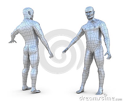 Human Male 3d Mesh Model Royalty Free Stock Images - Image: 17822369