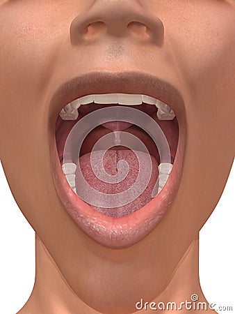 Human Mouth Stock Image - Image: 14391841