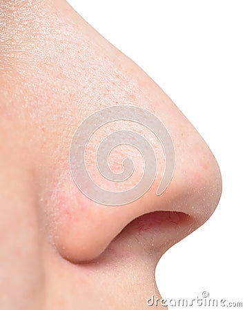 Human Nose Royalty Free Stock Images - Image: 30725099