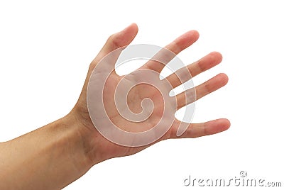 Human Palm Stock Photography | CartoonDealer.com #12269024