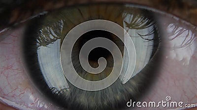 Human Pupil Widens and Narrows, with Opening and Closing the Lid. Macro ...