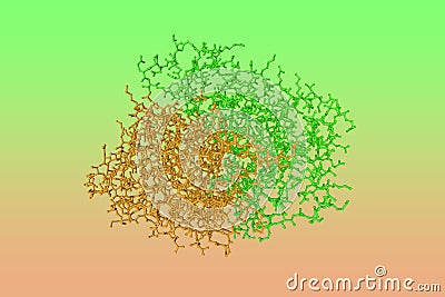 Human Quinone Reductase 2. Rendering With Differently Colored Protein ...