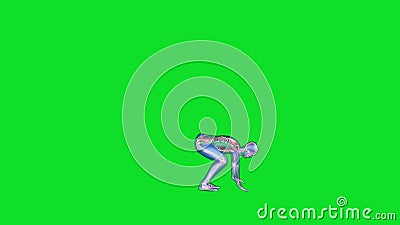 Human X-ray Body and Skeleton Doing Burpees, Side View, Loop, Green ...