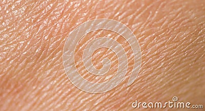 Human Skin Macro stock photo. Image of care, medical - 55342084