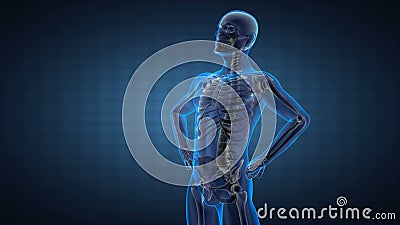 Human Spine Radiography X-ray Scan Stock Footage - Video of backbone ...