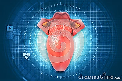 Human Tongue Anatomy. 3d Illustration Royalty-Free Cartoon ...