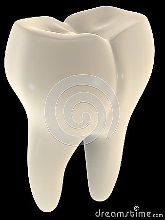Human Tooth Stock Photos - Image: 5605163