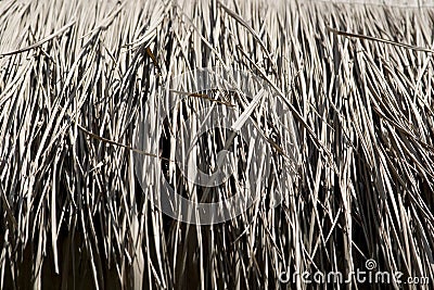 Hut Texture Stock Images - Image: 3146404