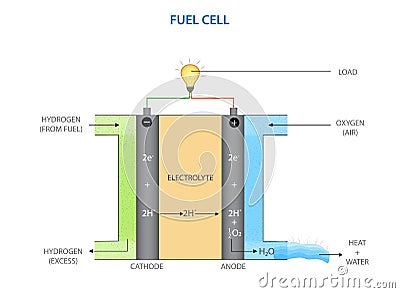 Hydrogen Oxygen Fuel Cell Vector Illustration | CartoonDealer.com ...