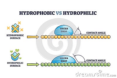 Hydrophobic Vs Hydrophilic Surface Effect On Water Drop Outline Diagram ...