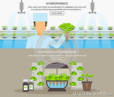 Hydroponic Design Illustration Stock Vector - Image: 74921209