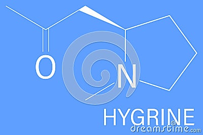 Hygrine Coca Alkaloid Molecule. Skeletal Formula. Chemical Structure ...