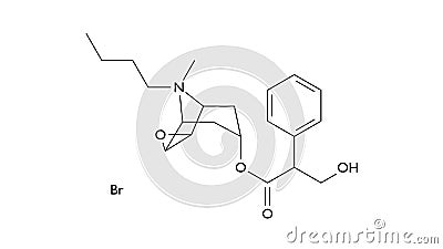 Hyoscine Butylbromide Molecule, Structural Chemical Formula, Ball-and ...