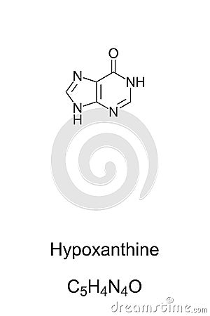 Hypoxanthine, Chemical Formula And Skeletal Structure Cartoon Vector ...