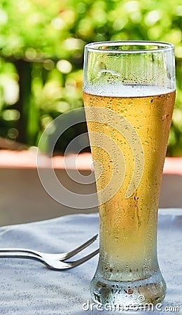 Ice Cold Beer. Royalty Free Stock Images - Image: 16722159