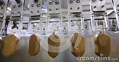 Ice Cream Production. Ice Cream on a Conveyor Belt. Modern Conveyor ...