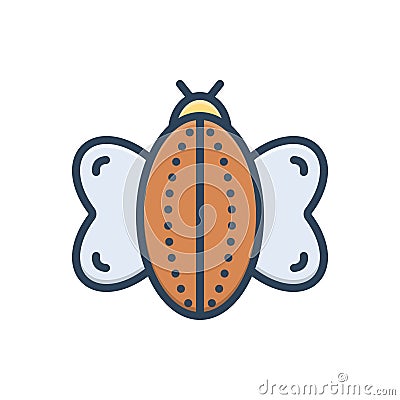 Color Illustration Icon For Insect, Moth And Dross Cartoon Vector ...