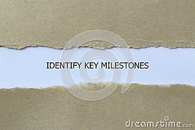 Identify Key Milestones On White Paper Stock Photo | CartoonDealer.com ...