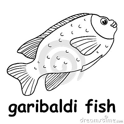 Kids Line Illustration Coloring Garibaldi Fish. Animal Outline Cartoon ...