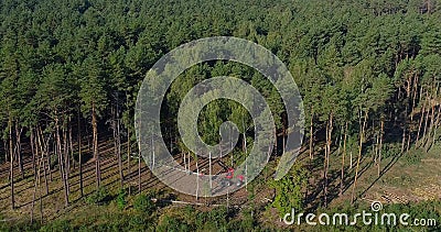 Illegal Forest Sweating, Poaching, Harm To the Environment ...