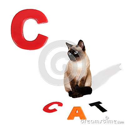 Illustrated Alphabet Letter C And Cat. Royalty-Free Stock Image ...