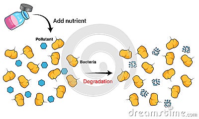 An Illustrated Exploration Of Biostimulation Techniques For Microbial ...