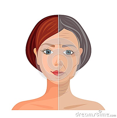 Illustration Of An Aging Face. The Process Of Withering Skin. Vector ...