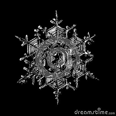 Real Snowflake Isolated On Black Background Royalty-Free Illustration ...