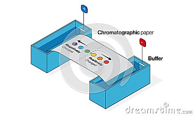 Illustration Depicting The Paper Chromatography Technique For ...