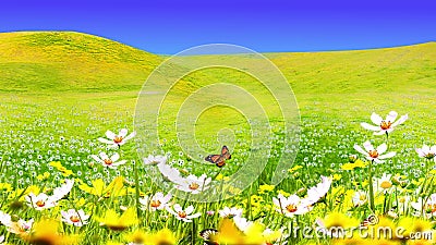 Illustration of Green Meadows and Flowers Stock Footage - Video of grow ...
