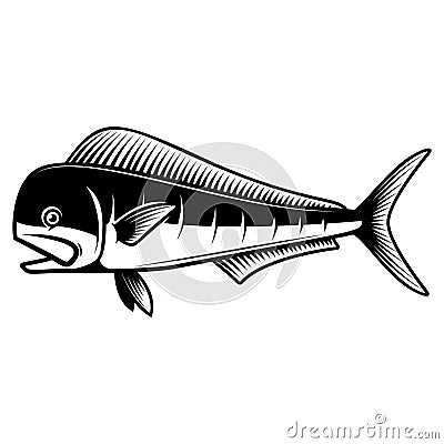 Illustration Of Mahi Mahi Fish. Design Element For Poster Card, Logo ...