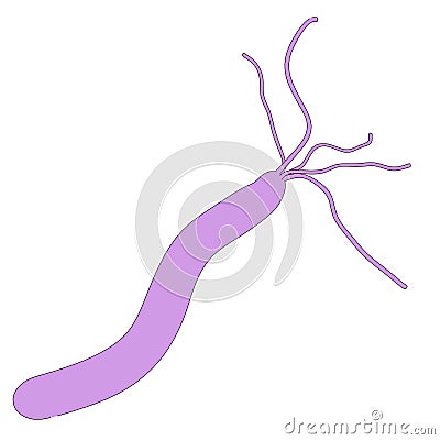 Image Of Helicobacter Pylori Stock Photography - Image: 36635242