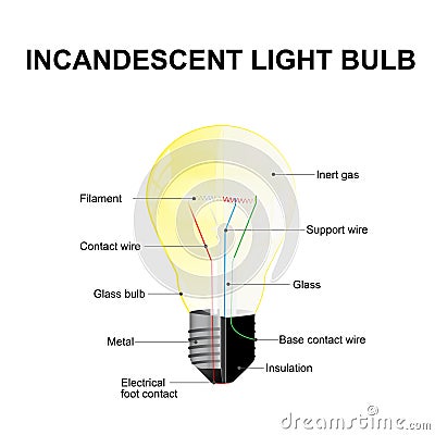 Incandescent Light Bulb Stock Vector - Image: 79382545