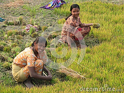 Indian Girls Stock Photo - Image: 47166055