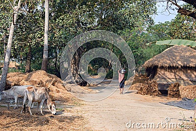 Indian Village life - Stock Image - Everypixel