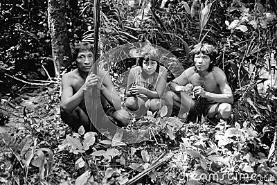 Indios Awa Guaja De Los Naturales Del Brasil Imagen de archivo ...