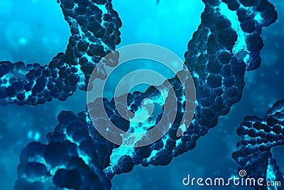 Infection Virus Bacteria Cell Micro Microscope Inside Interior Human ...