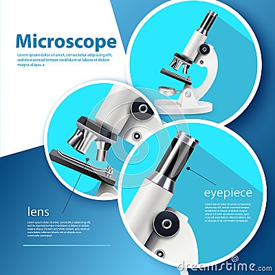 Infographic Colored Microscope Vector Illustration | CartoonDealer.com ...