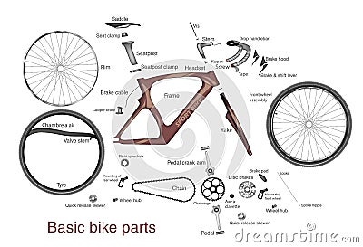 Infographic Of Main Bike Parts With The Names Stock Vector - Image ...
