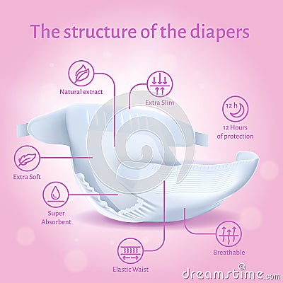 Infographics Structure Of Adsorbent Diaper Vector | CartoonDealer.com ...