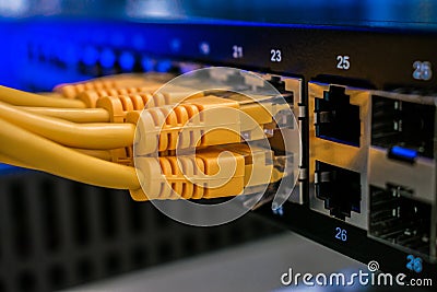 Information Technology Concept. Utp Wires Are In The Office Router ...