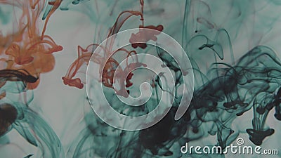 Ink flowing in the water. stock video. Video of watercolor - 258492425