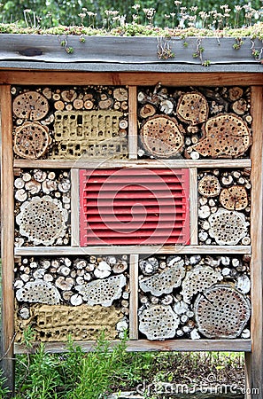 Insect Home Stock Photos - Image: 19000423