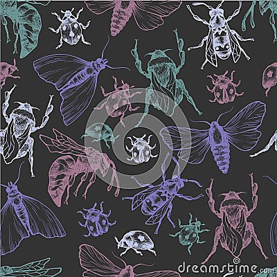 Insects Pattern. Vector Illustration | CartoonDealer.com #81909500