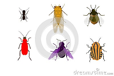 Insekte Lizenzfreies Stockfoto - Bild: 15287845