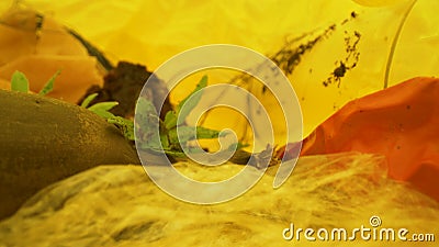 Inside the Trash Bag. Super Close Up Camera View Moving from Unsorted ...