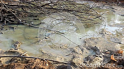 Insufficient water stock video. Video of environment - 58146175