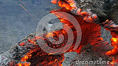 Interesting Unusual Smoldering and Burning Old Tree Stump, Glowing from ...